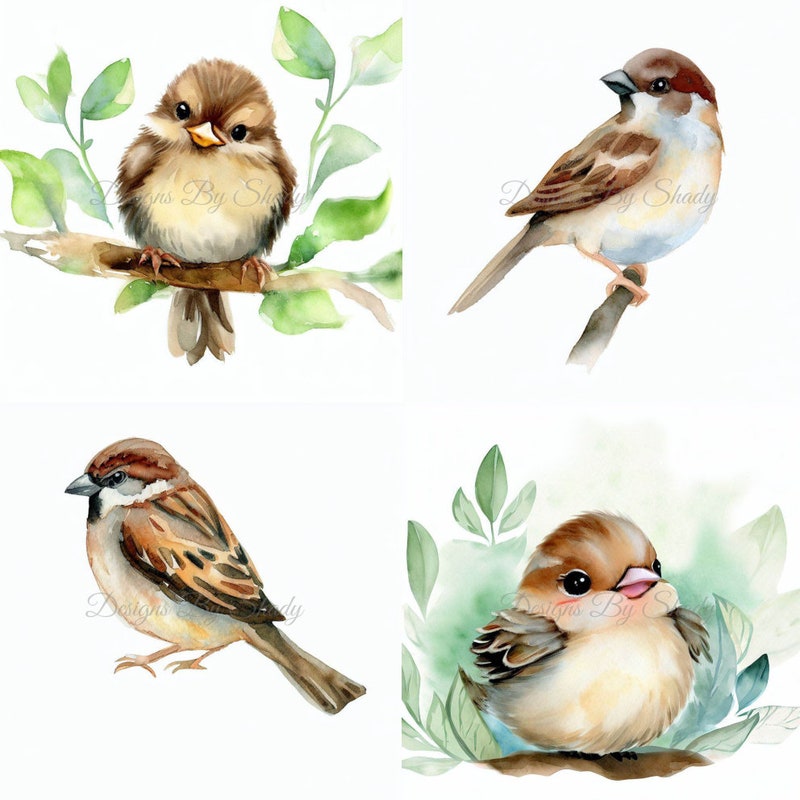 Sparrow Watercolor - Etsy