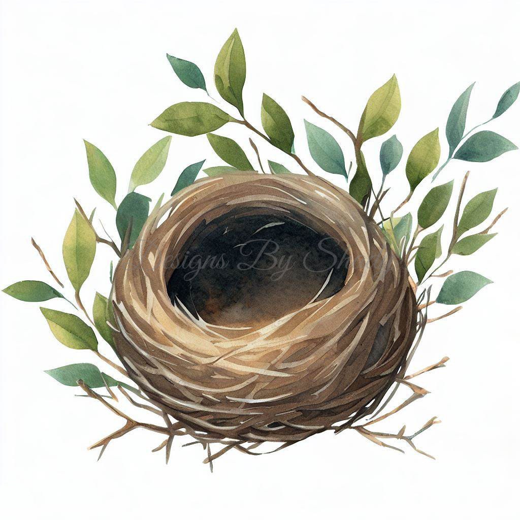 Birds Nest Drawing Clipart