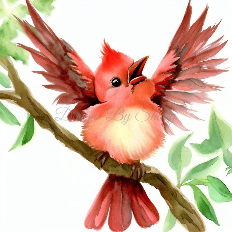14 Baby Cardinal Birds Clipart Pngs, Commercial Use Digital Download ...