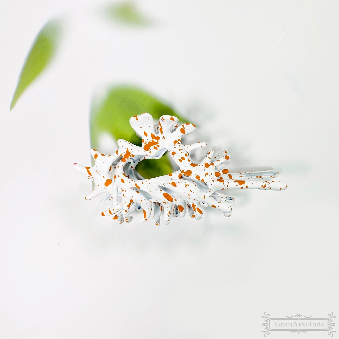 Novel Conch Hair Claws,spotted Conch Hair Clamps,hair Claw for Thick ...