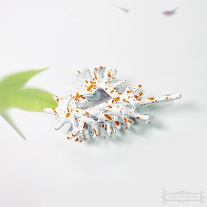 Novel Conch Hair Claws,spotted Conch Hair Clamps,hair Claw for Thick ...