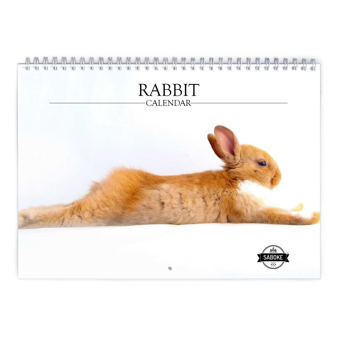 Rabbit 2025 Wall Calendar ID:W25038 - Etsy