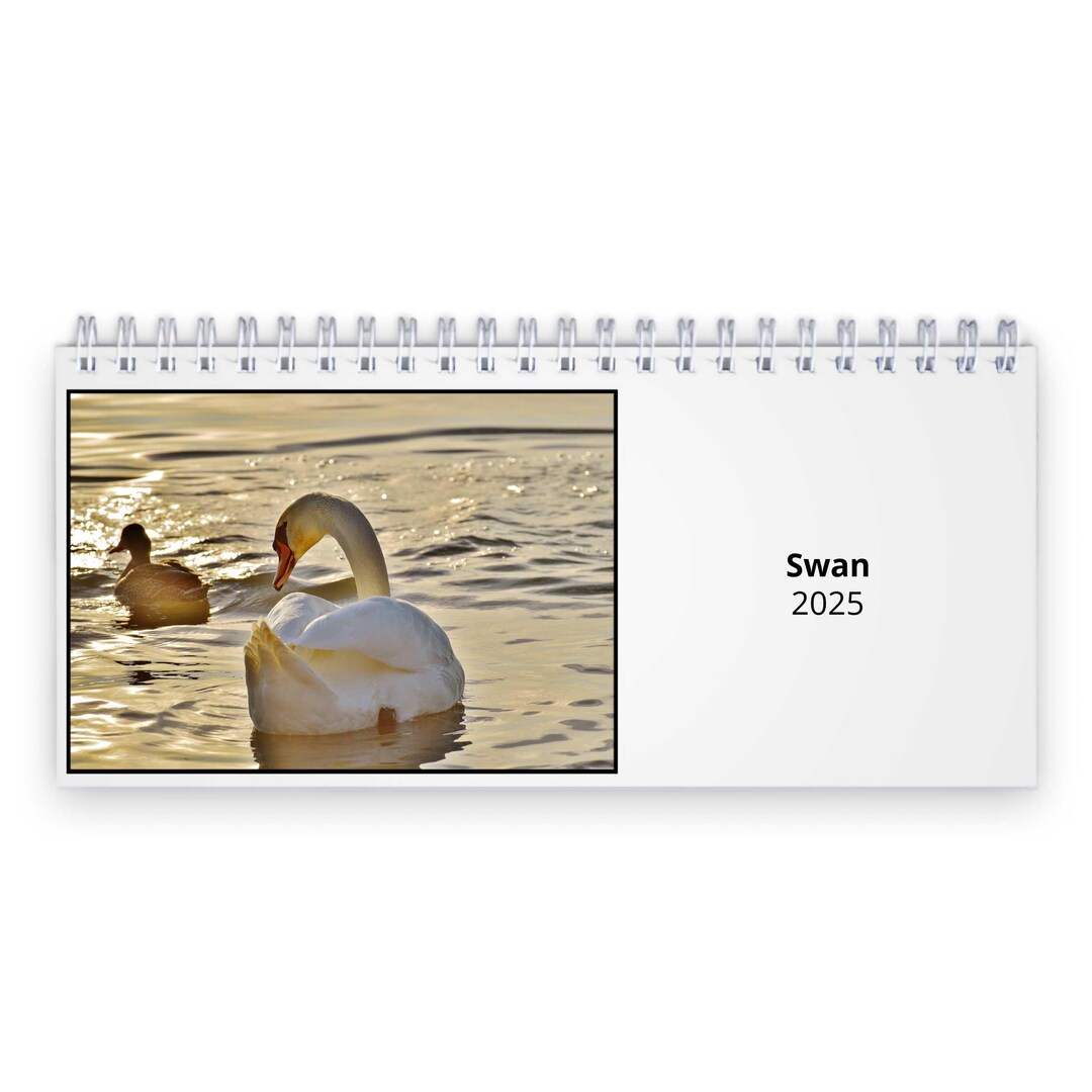 Swan 2025 Desk Calendar ID:D25046 - Etsy