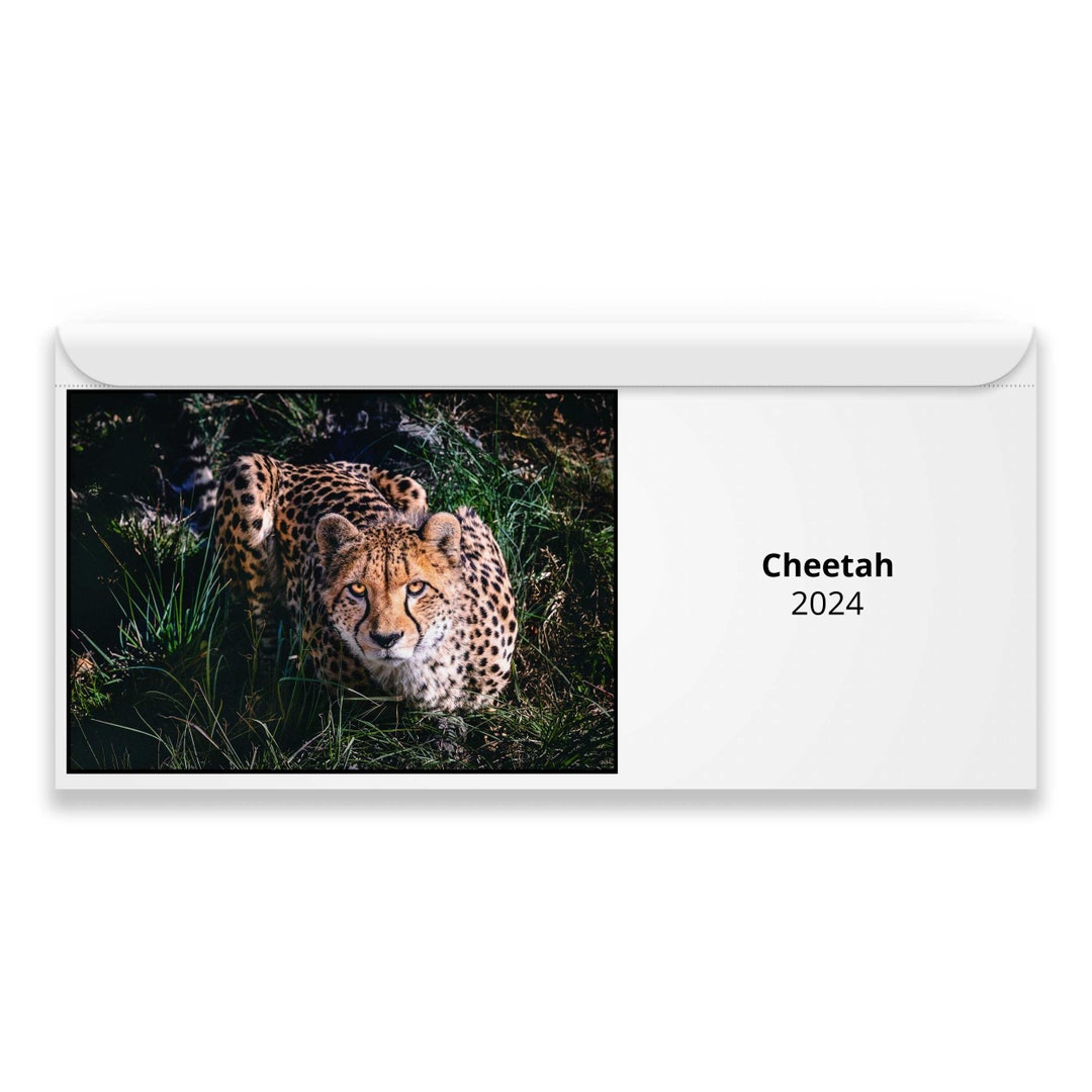 Cheetah 2024 Magnetic Calendar ID:M23021 - Etsy