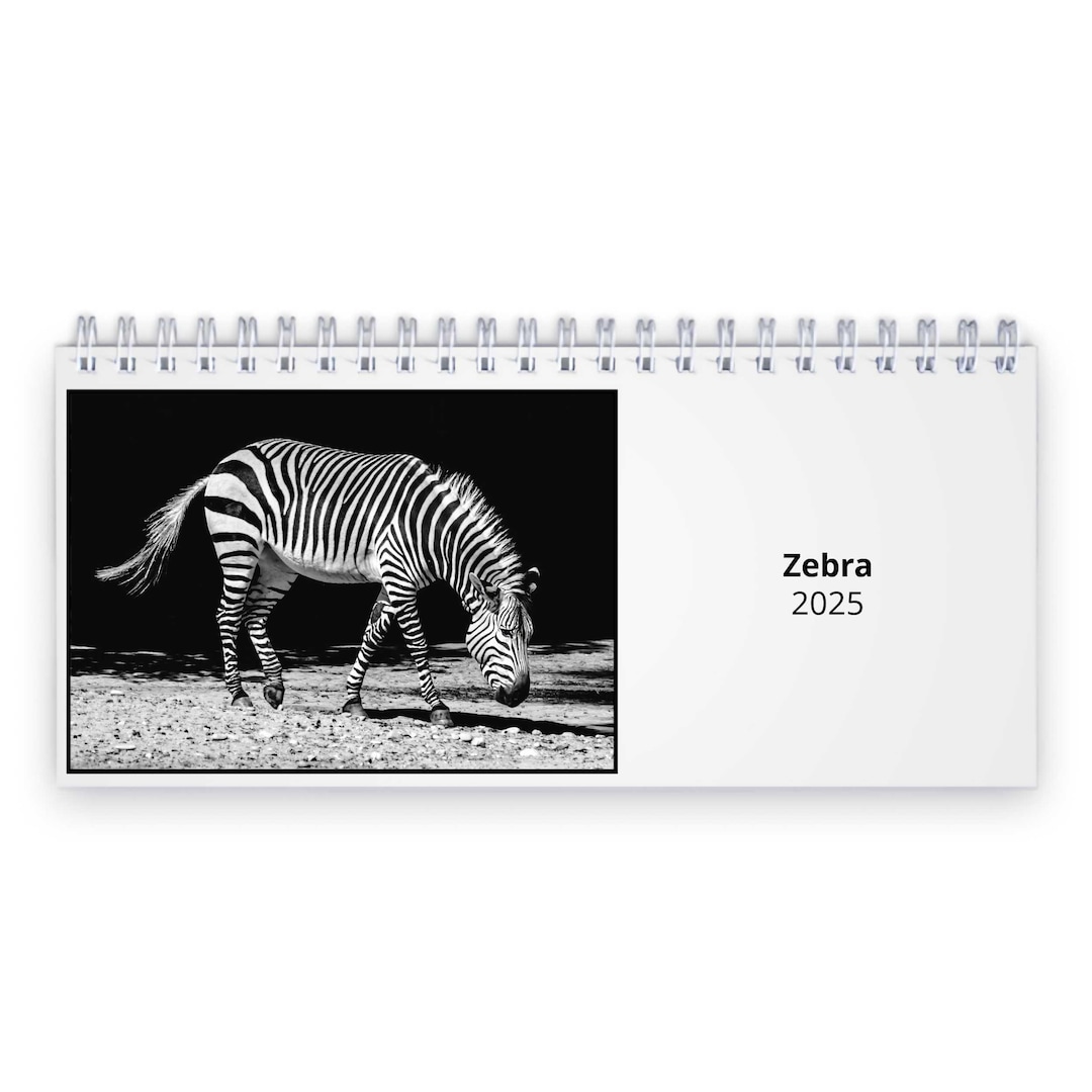 Zebra 2025 Desk Calendar ID:D24084 - Etsy