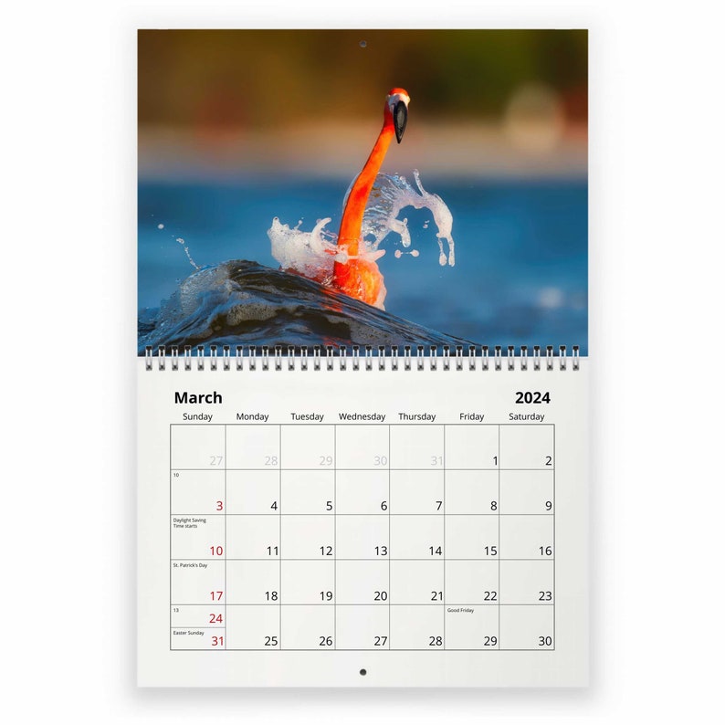 Flamingo 2024 Wall Calendar ID:W24077 - Etsy