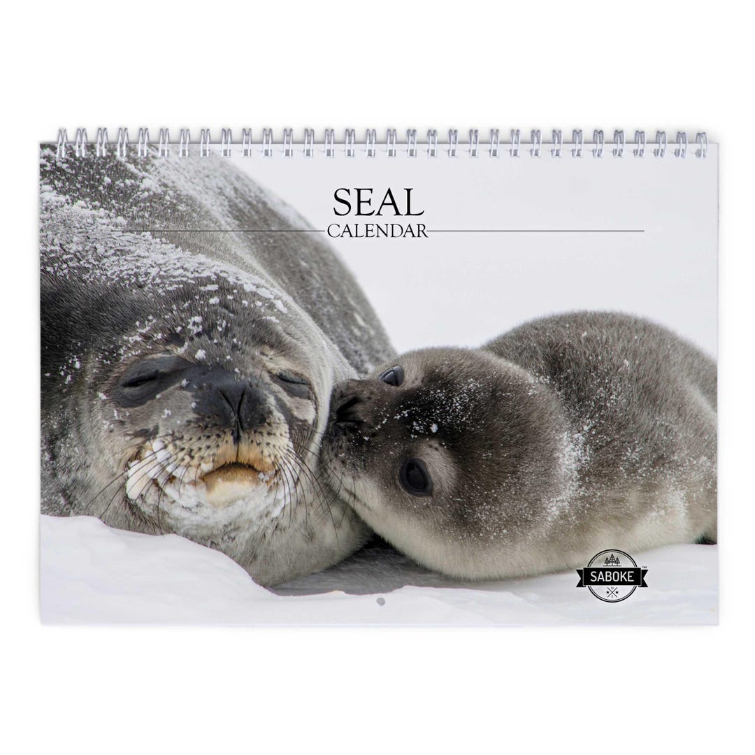 Seal 2025 Wall Calendar ID:W25042 - Etsy