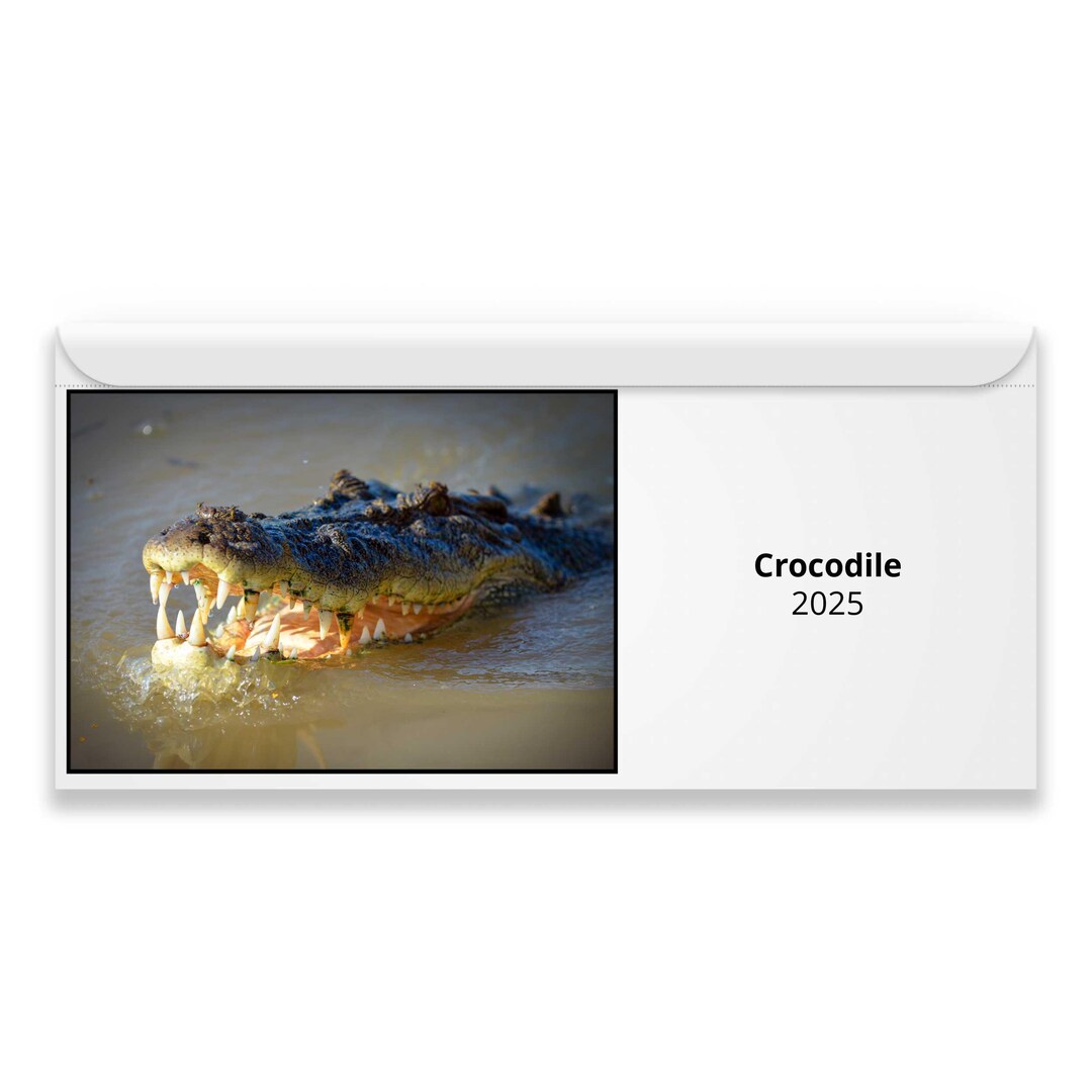 Crocodile 2025 Magnetic Calendar ID:M24074 - Etsy