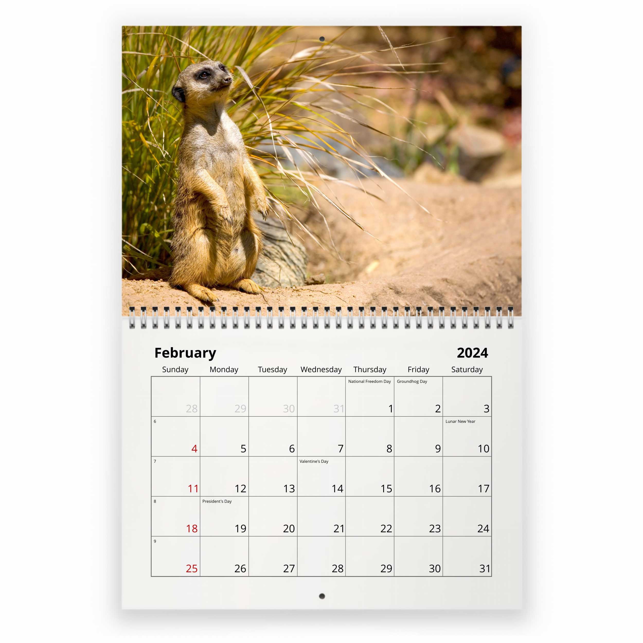 Meerkat 2024 Wall Calendar ID:W24027 - Etsy Australia