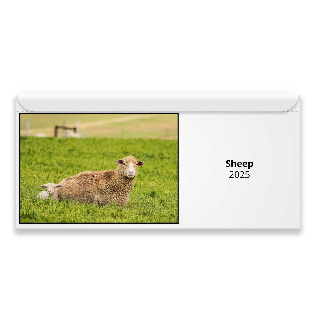 Sheep 2025 Magnetic Calendar ID:M25043 - Etsy
