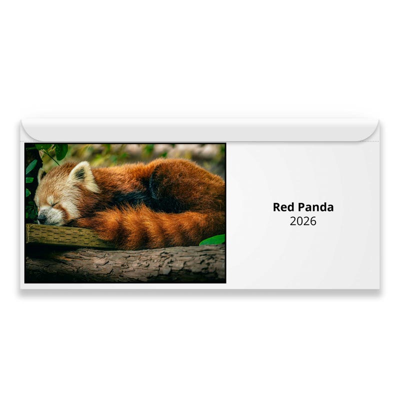 Red Panda 2026 Calendar - Etsy Canada