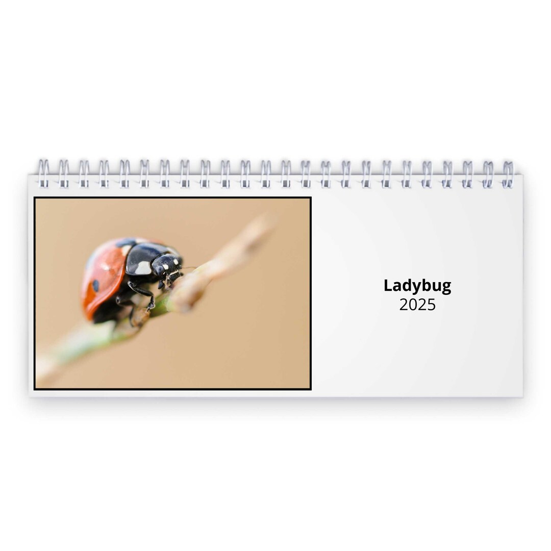 Ladybug 2025 Desk Calendar ID:D25031 - Etsy