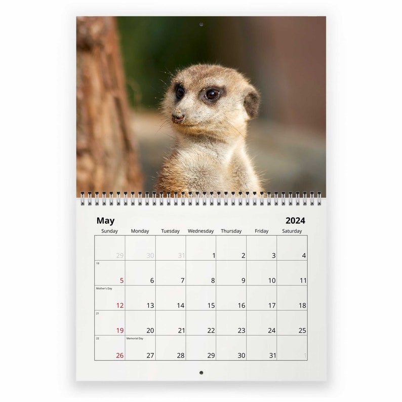 Meerkat 2024 Wall Calendar ID:W24027 - Etsy Australia