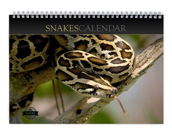 Snake Calendar 2024 Monthly Wall Calendar, A4 Hanging Calendar Perfect ...