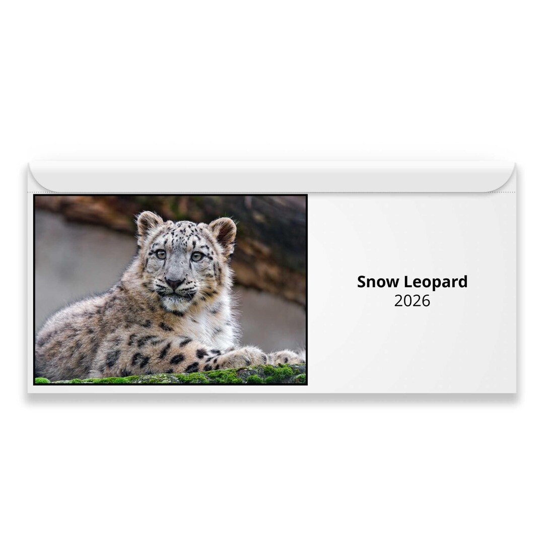 Snow Leopard 2026 Magnetic Calendar ID:M26129 - Etsy UK