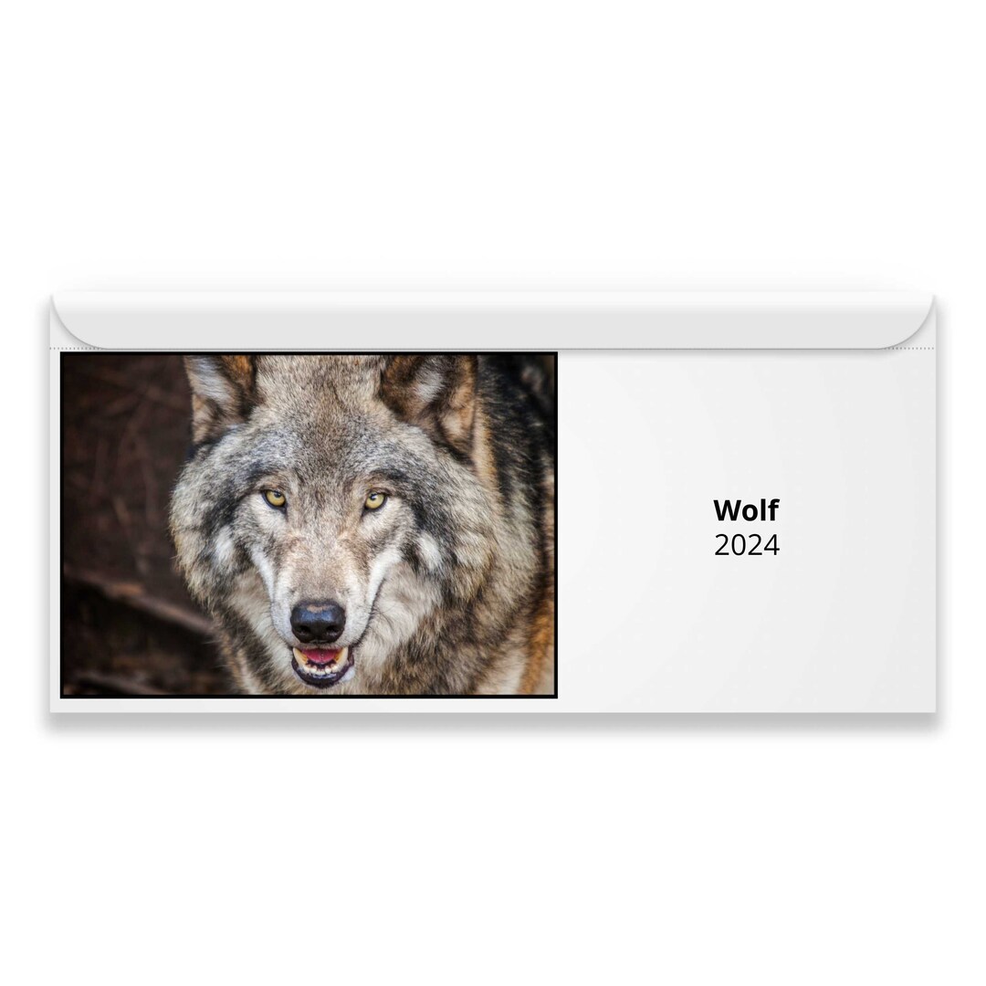 Wolf 2024 Magnetic Calendar ID:M24000 - Etsy
