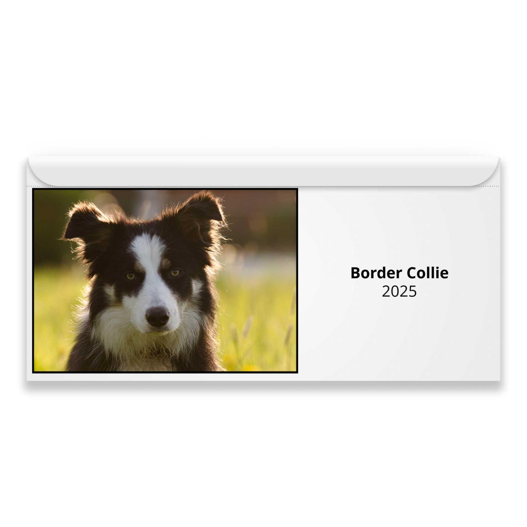 Border Collie 2025 Magnetic Calendar ID:M25011 - Etsy UK