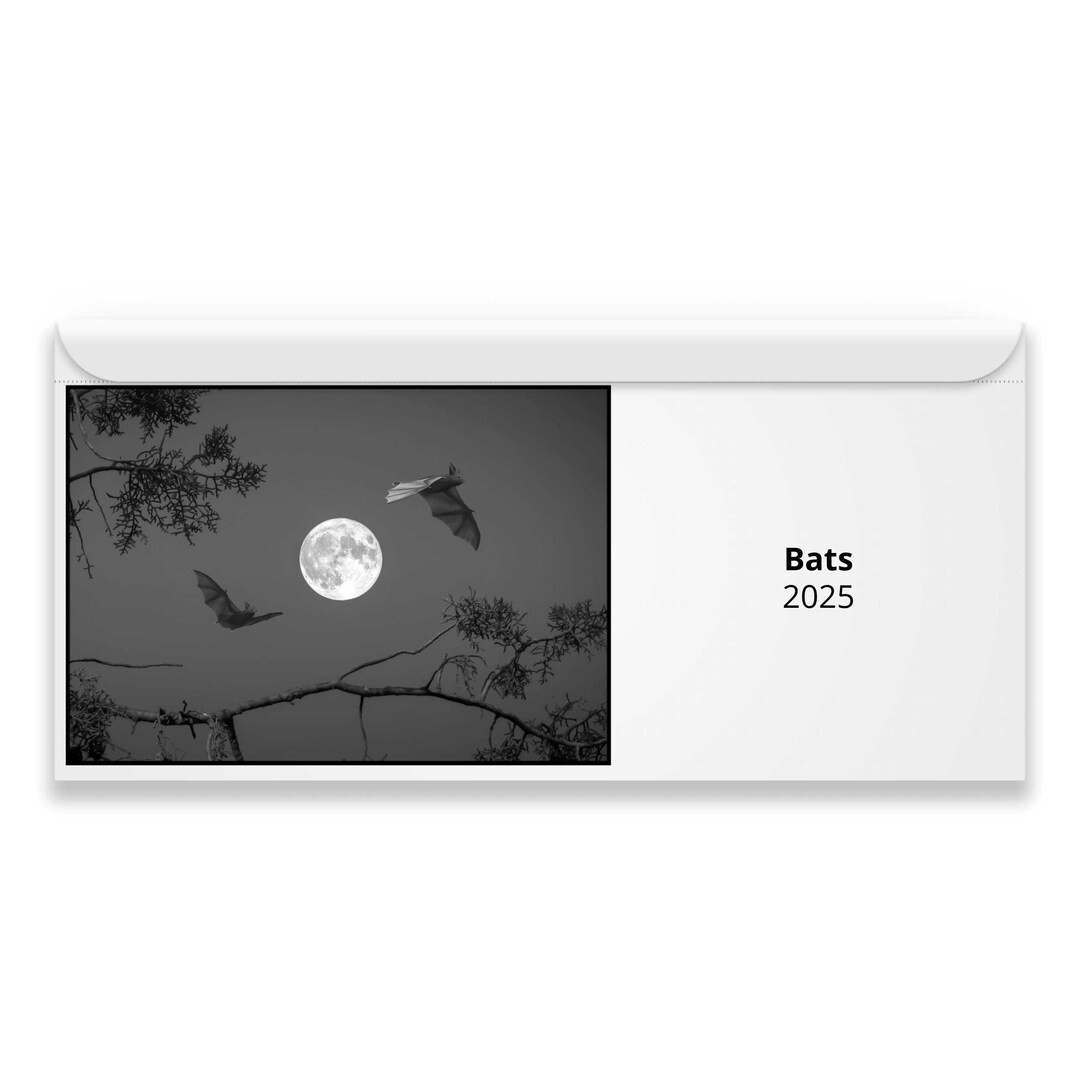 Bats 2025 Magnetic Calendar ID:M23001 - Etsy