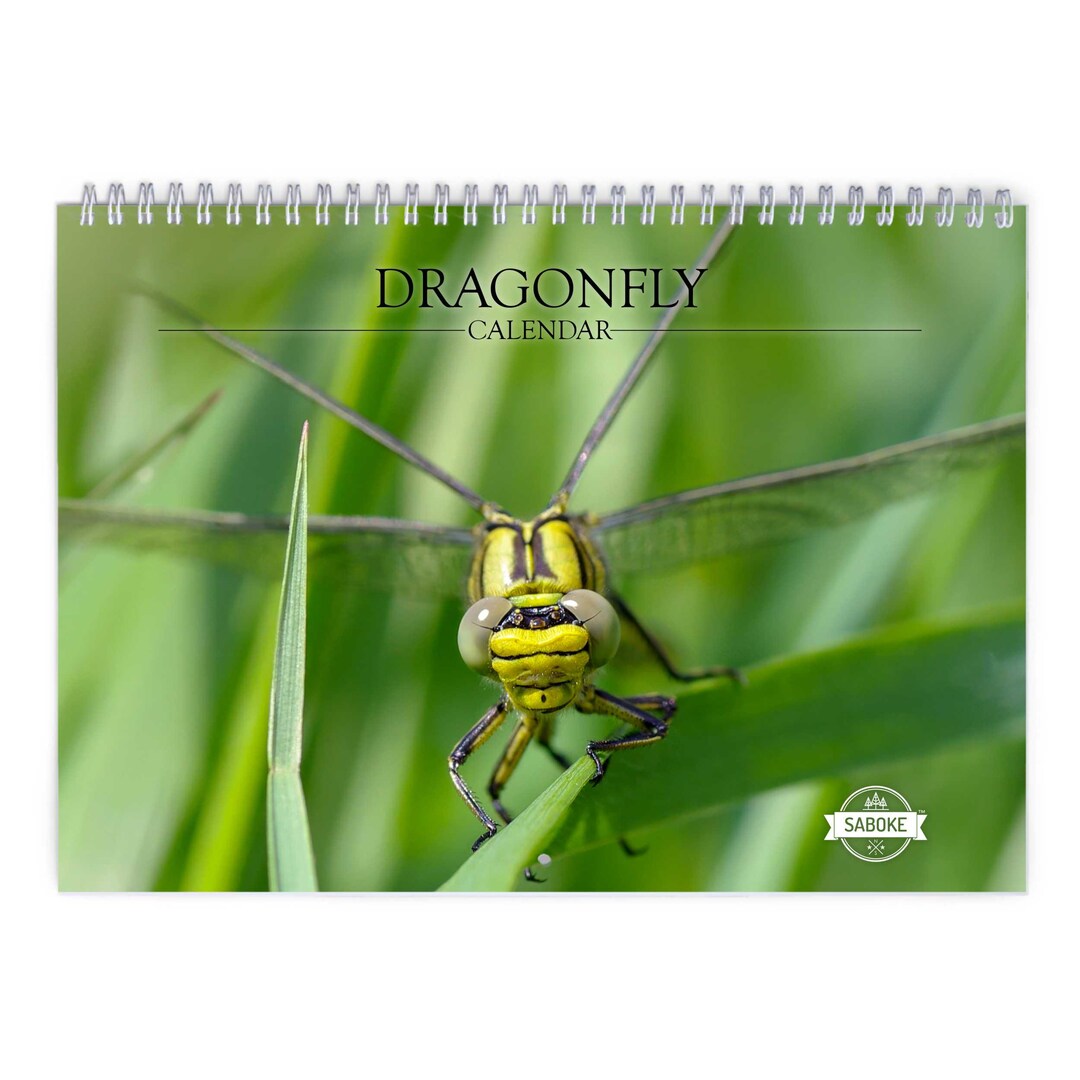 Dragonfly 2025 Wall Calendar ID:W24076 - Etsy