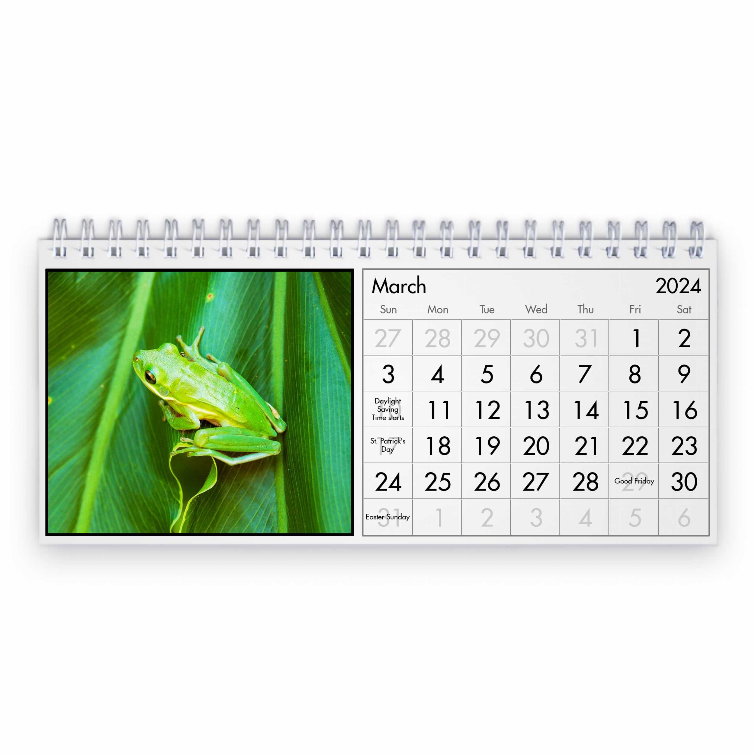 Frog 2024 Desk Calendar ID:D24047 - Etsy