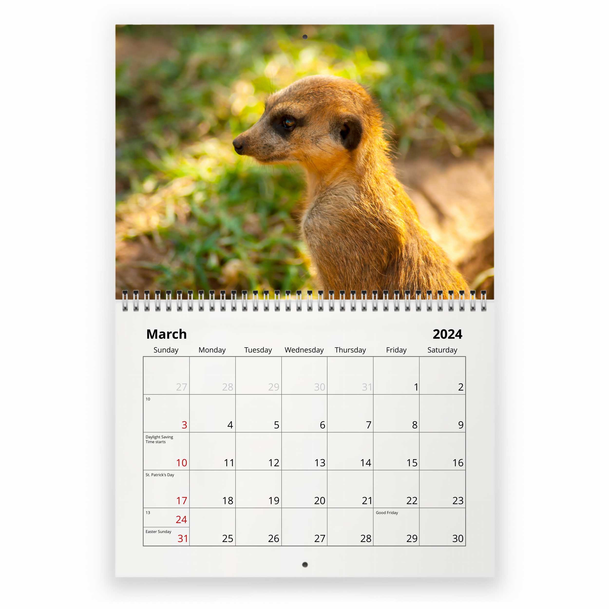Meerkat 2024 Wall Calendar ID:W24027 - Etsy Australia