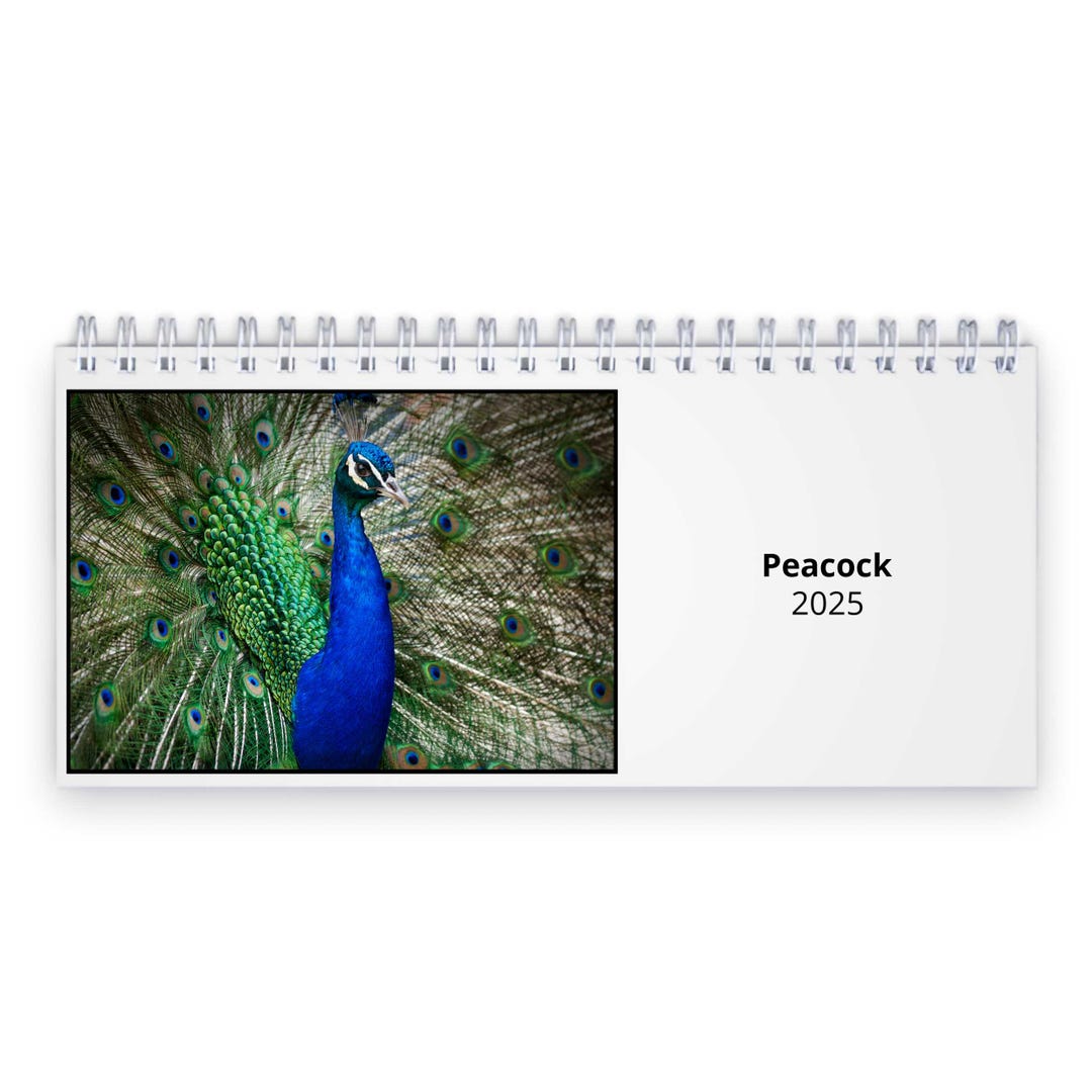 Peacock 2025 Desk Calendar ID:D23011 - Etsy