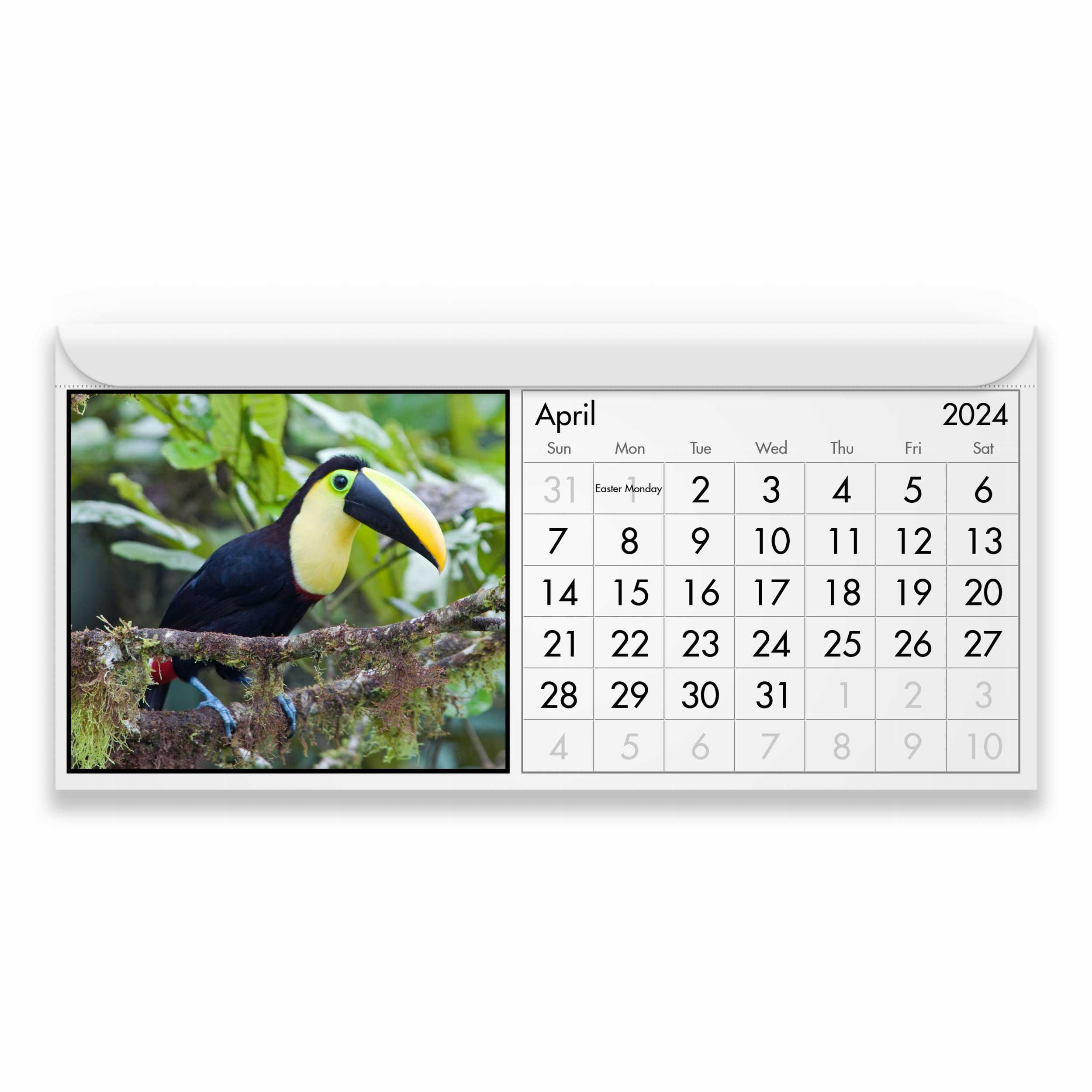 Toucan 2024 Magnetic Calendar ID:M23014 - Etsy