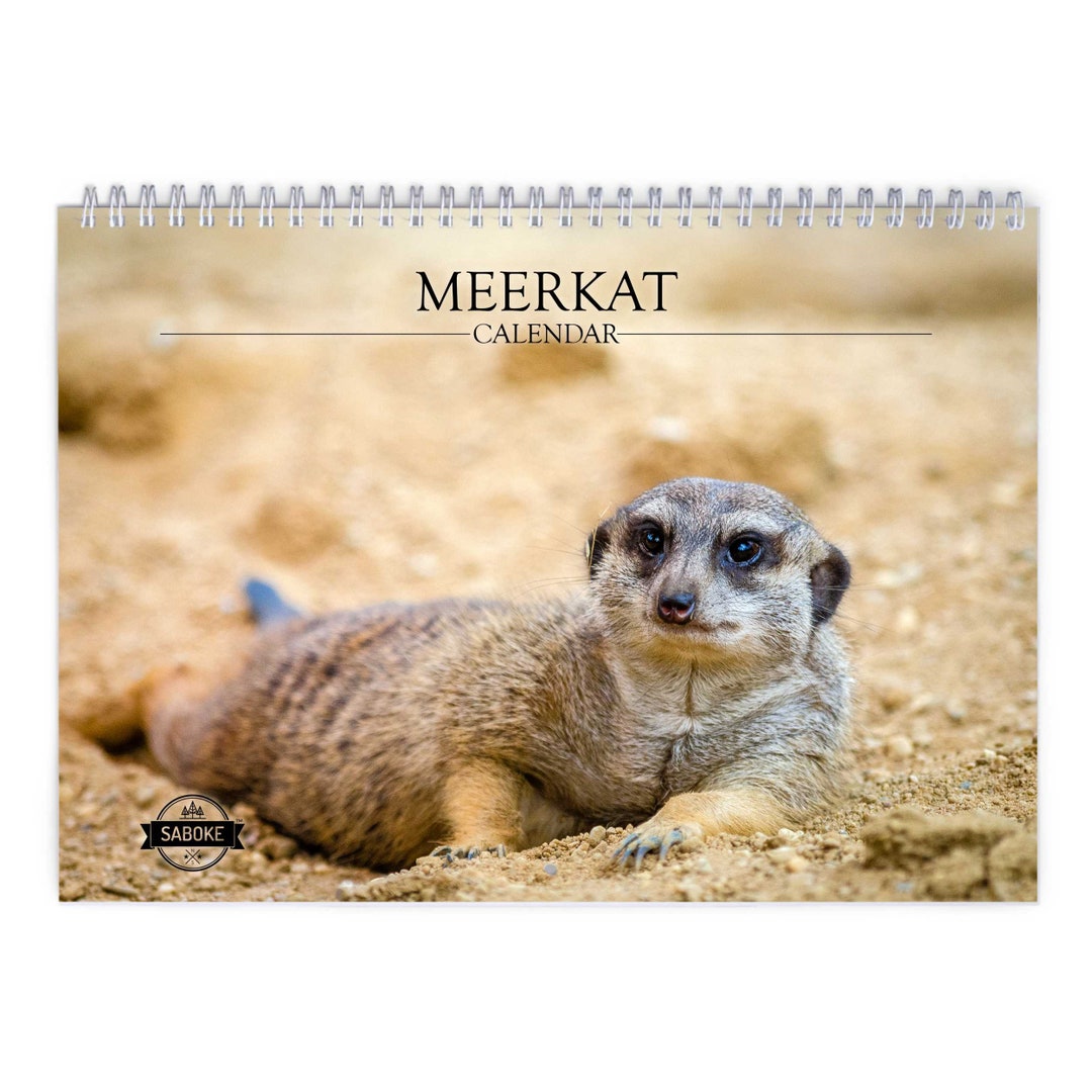 Meerkat 2024 Wall Calendar ID:W24027 - Etsy Australia