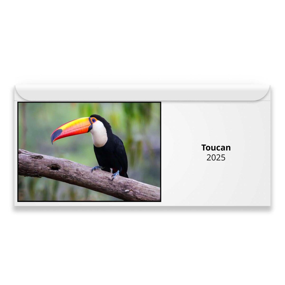 Toucan 2025 Magnetic Calendar ID:M23014 - Etsy