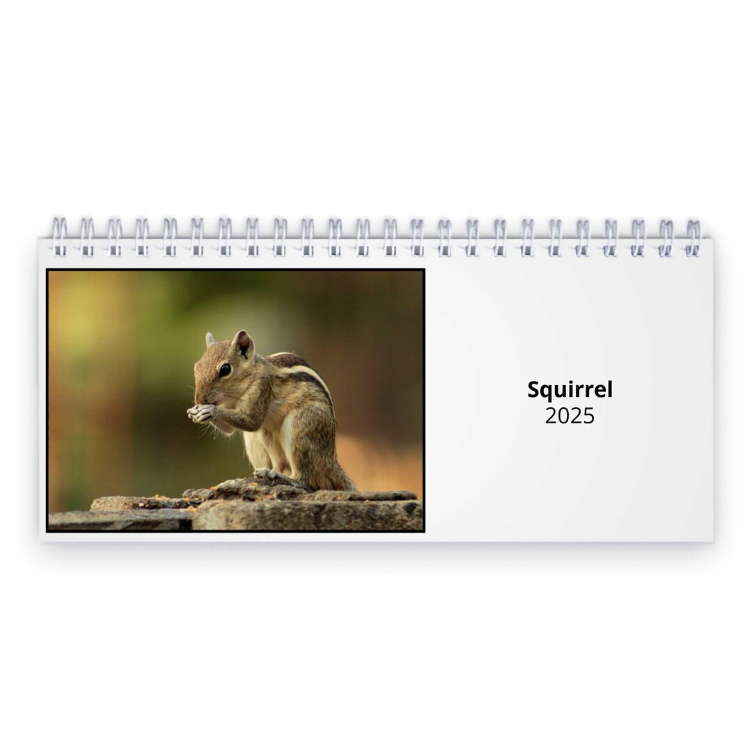 Squirrel 2025 Desk Calendar ID:D25052 - Etsy