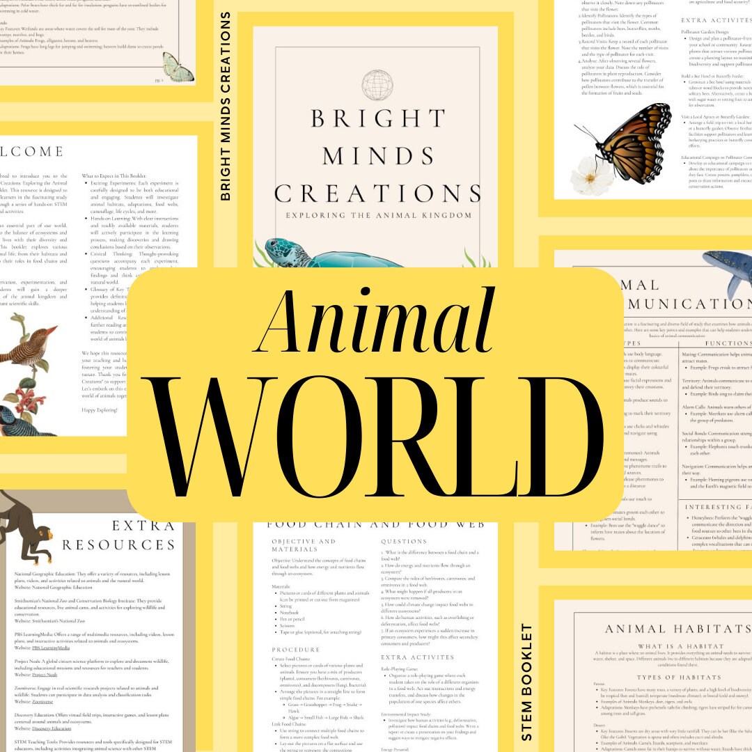 The World of Animals: A STEM Activity Book for Kids Discover Camouflage ...