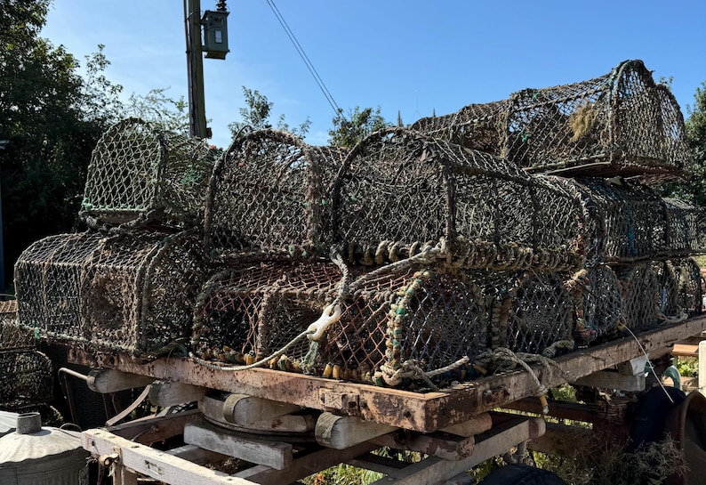 Vintage Lobster Creel/crab Pot Garden Feature, Pond Etc - Etsy UK