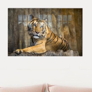Glass Art Wall Decor, Loft Tempered Glass, Tiger Glass Printing, Tiger ...