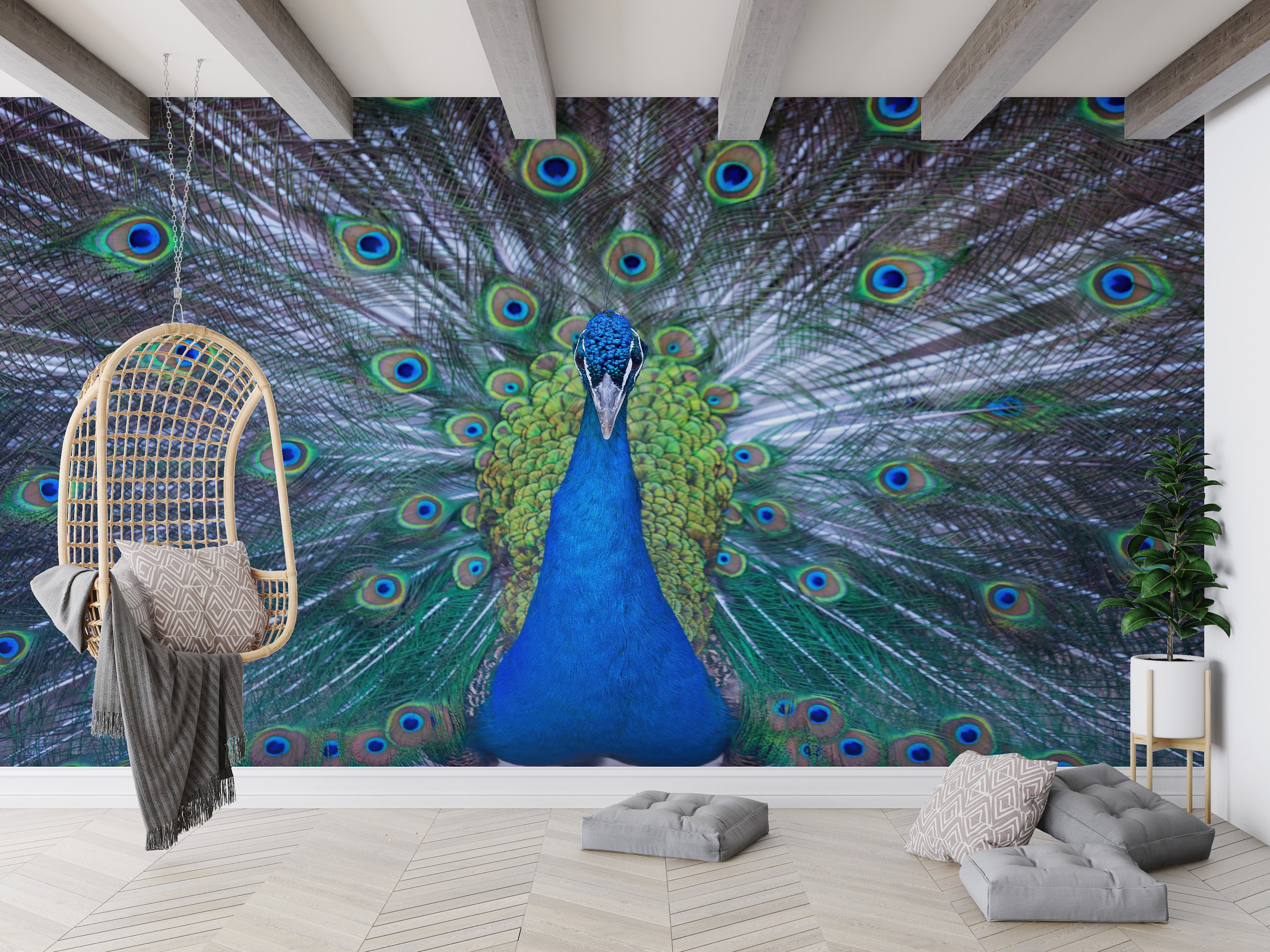Blue Peacock Wallpaper