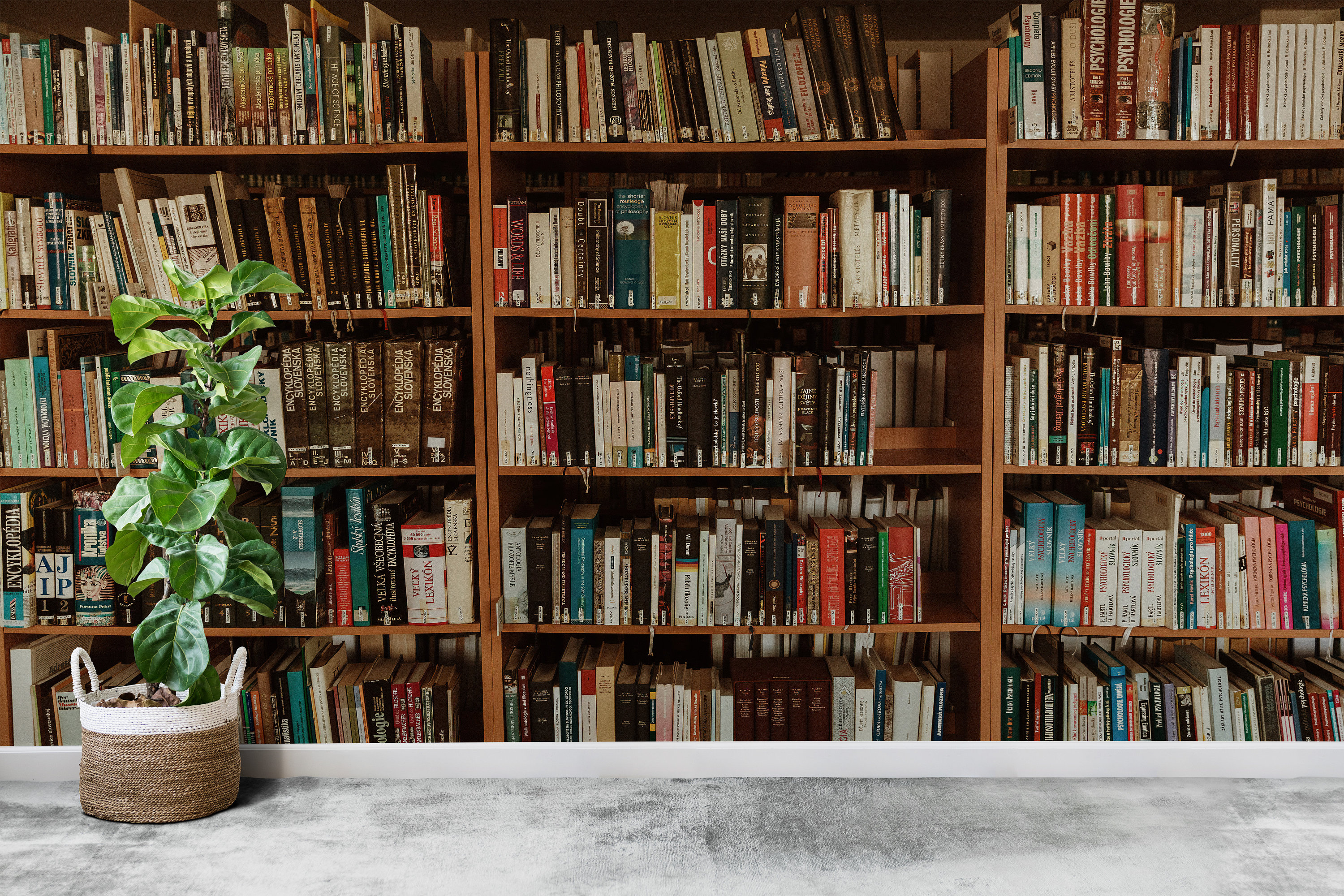 Book Wall Decor, Bookshelf Wall Paper, Bookshelf Photo Wall Poster ...