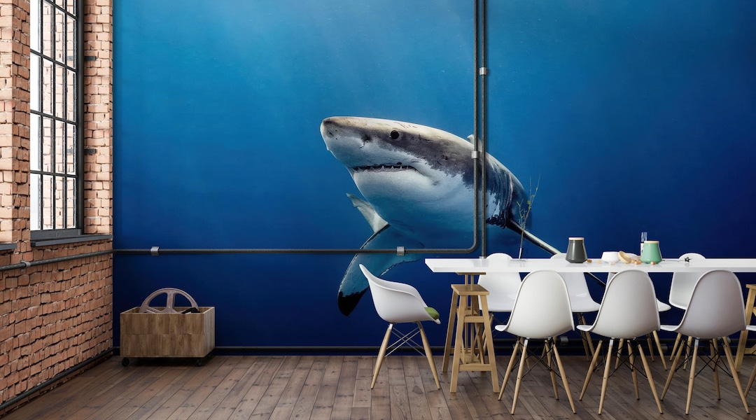 Shark Wallpaper, Underwater Wall, Blue Wallpaper, Beautiful Shark ...