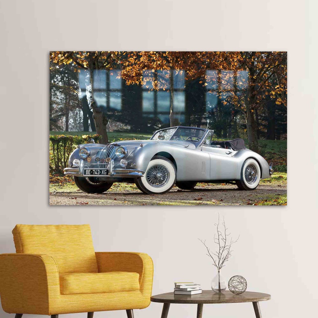 Mural Art, Glass, Wall Decoration, Garage Tempered Glass, 1954 Jaguar ...