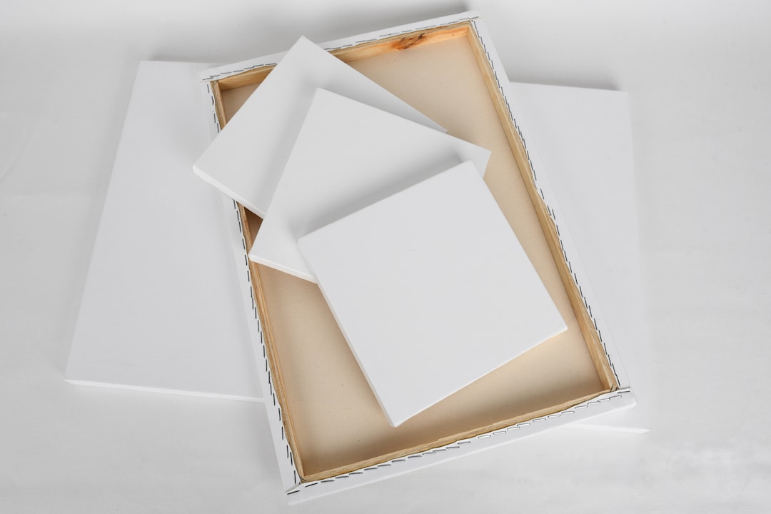 Blank Canvas Wrapped, Plain White Canvas Frames for Painting, White ...