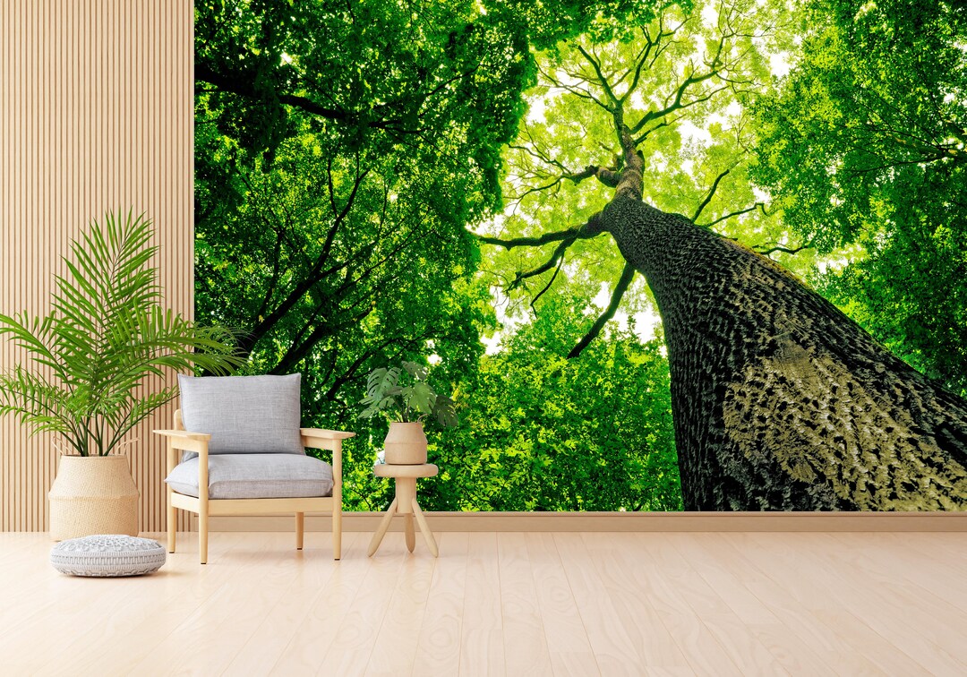 Tree Photography Wallpaper, View Wall Painting, Landscape Wall Art, Big ...
