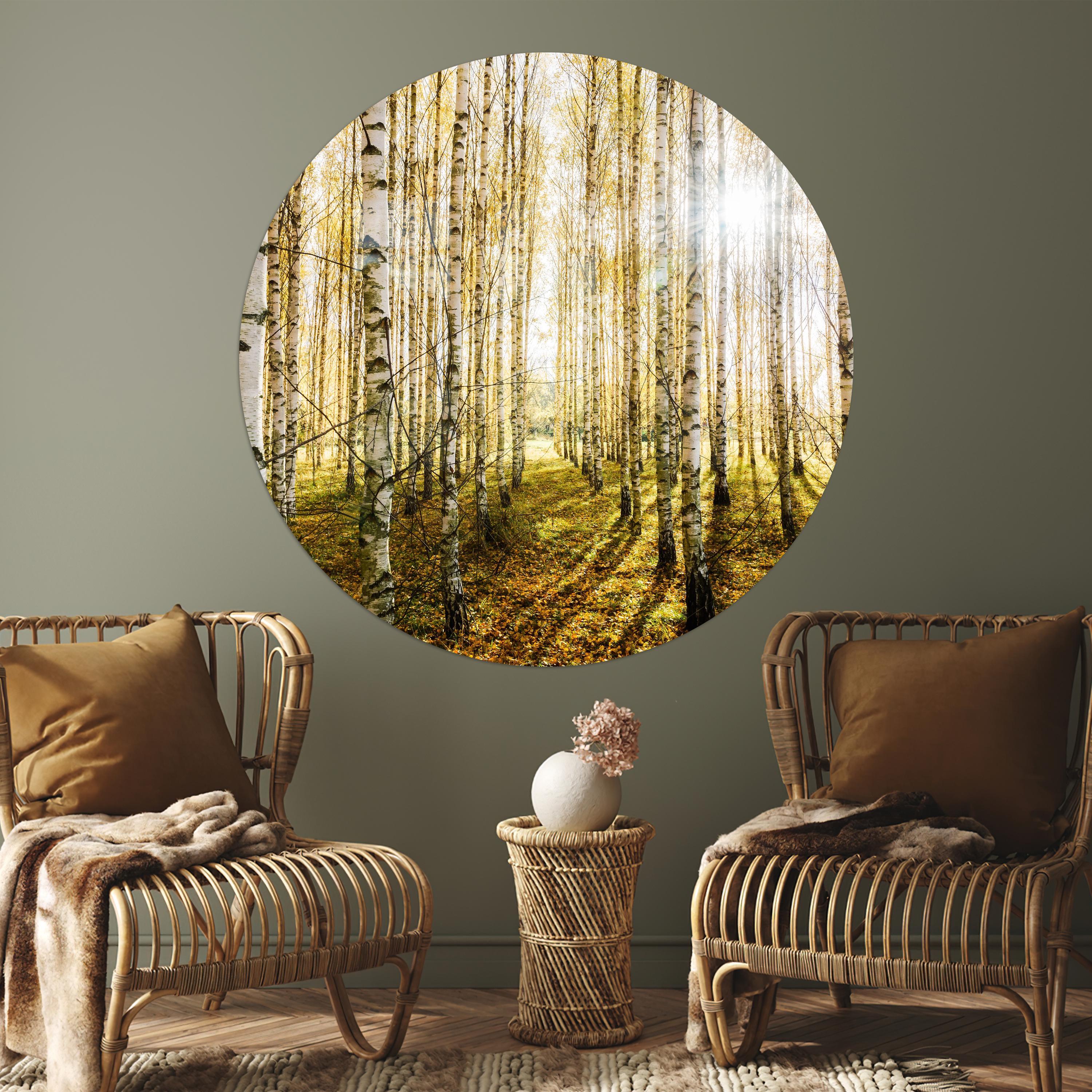 Tree Landscape Wall Decoration, Forest Glass Wall Art, Birch Forest ...