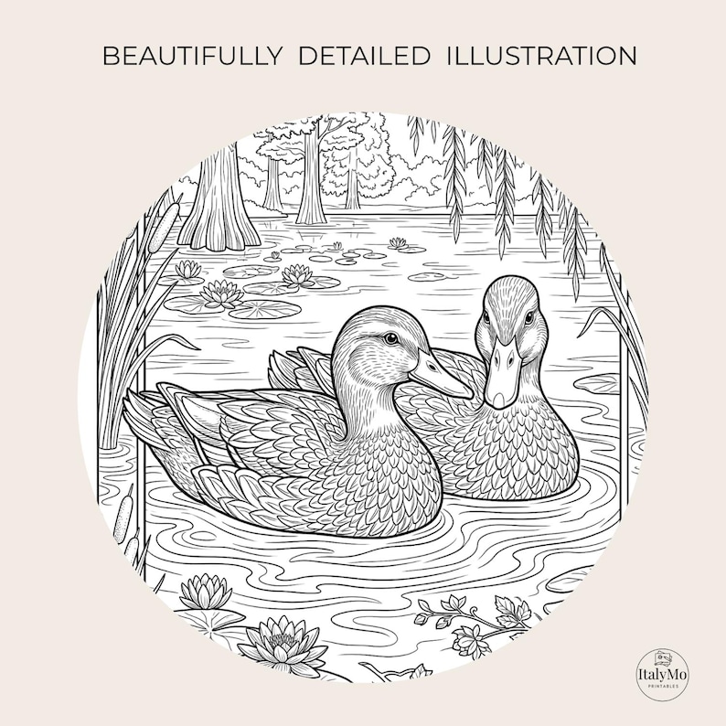 Relaxing Adult Coloring Book for Stress Relief, 20 Printable Art ...