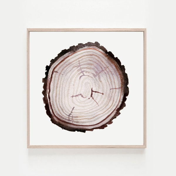 Tree Ring Art - Etsy
