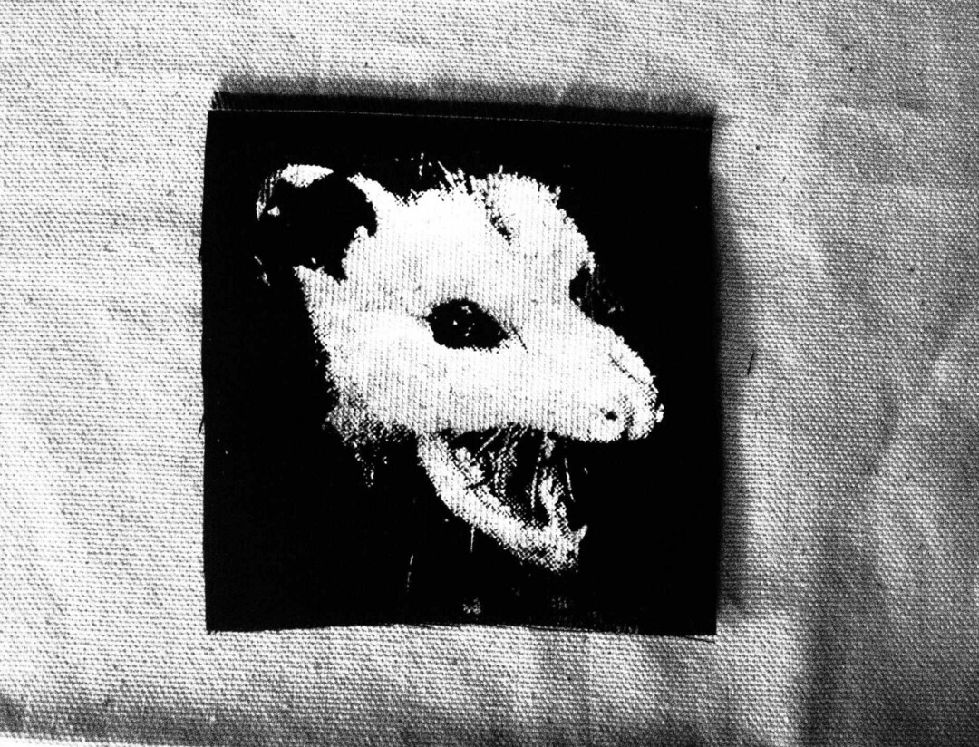Yelling Possum Patch - Etsy