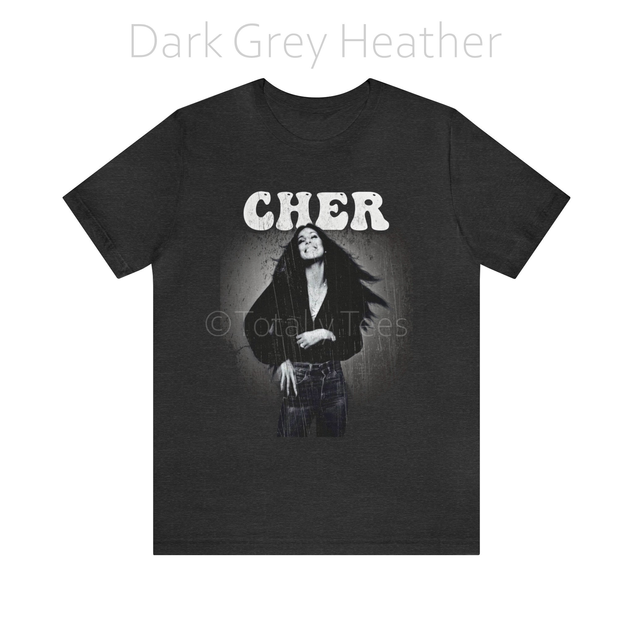 CHER T-shirt Shirt Tshirt Band Tee 1970s Vintage Aesthetic Distressed T ...