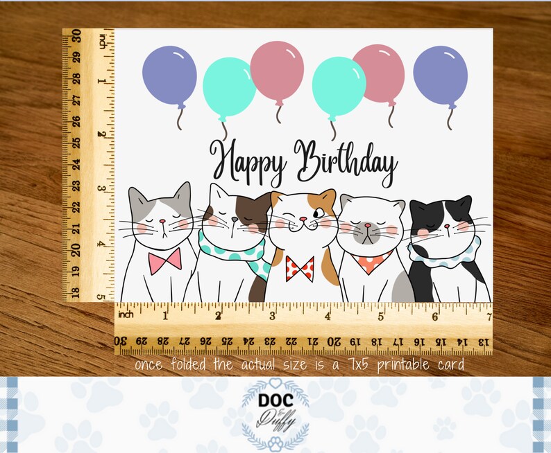 Printable Cat Card Birthday, Funny Cat Card, Cat Lovers Card, Happy ...