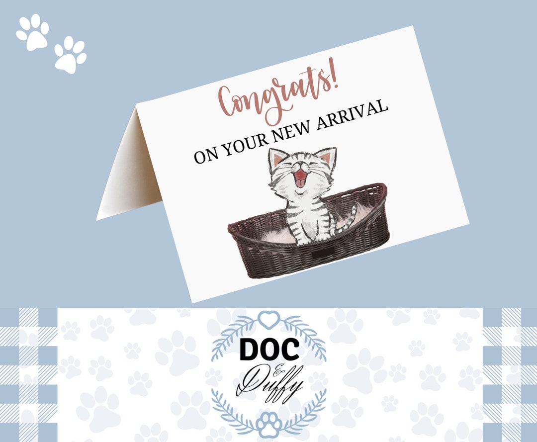 Congrats on Your New Cat Card, Cat Greeting Cards, New Kitten or Cat ...