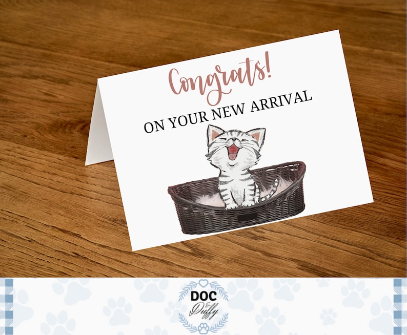 Congrats on Your New Cat Card, Cat Greeting Cards, New Kitten or Cat ...