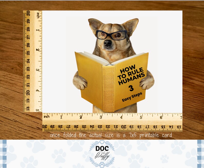 How to Rule Humans 3 Easy Steps, Funny Dog Card, Printable Dog Greeting ...