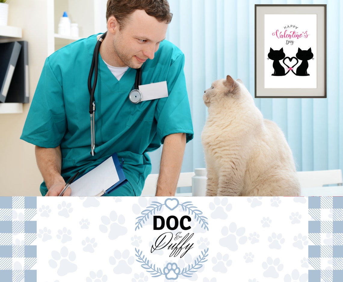 Vet Office Decor, Vet Office Waiting Rooms, Vet Office Reception Area ...