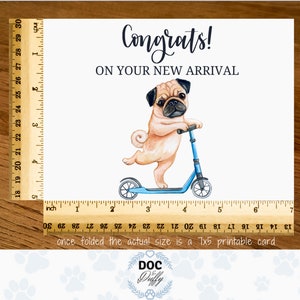 Congratulations on Your New Puppy Card, Dog Greeting Cards, New Puppy ...